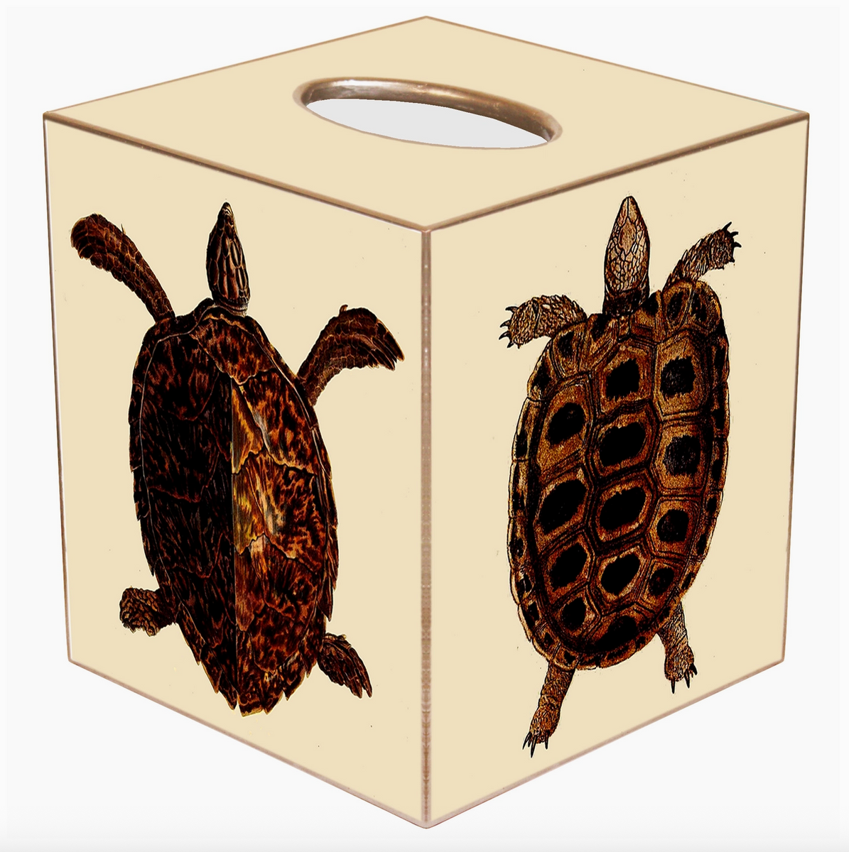 Turtles Tissue – Beigestyle